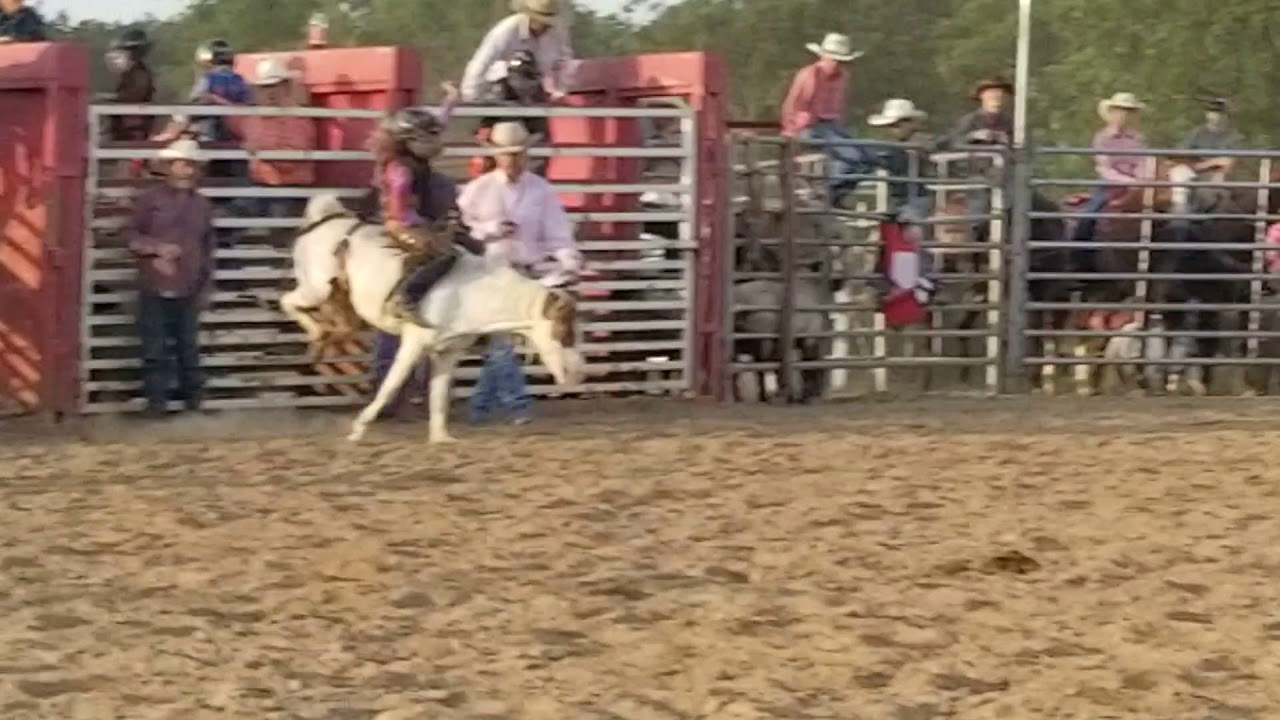 Ada bucking ponies st Dixon - YouTube