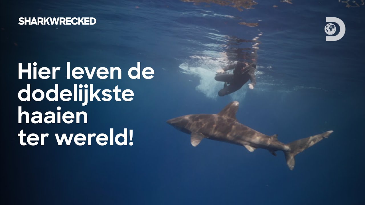 Wij worden opgegeten door de haaien als we deze materialen niet hebben ...