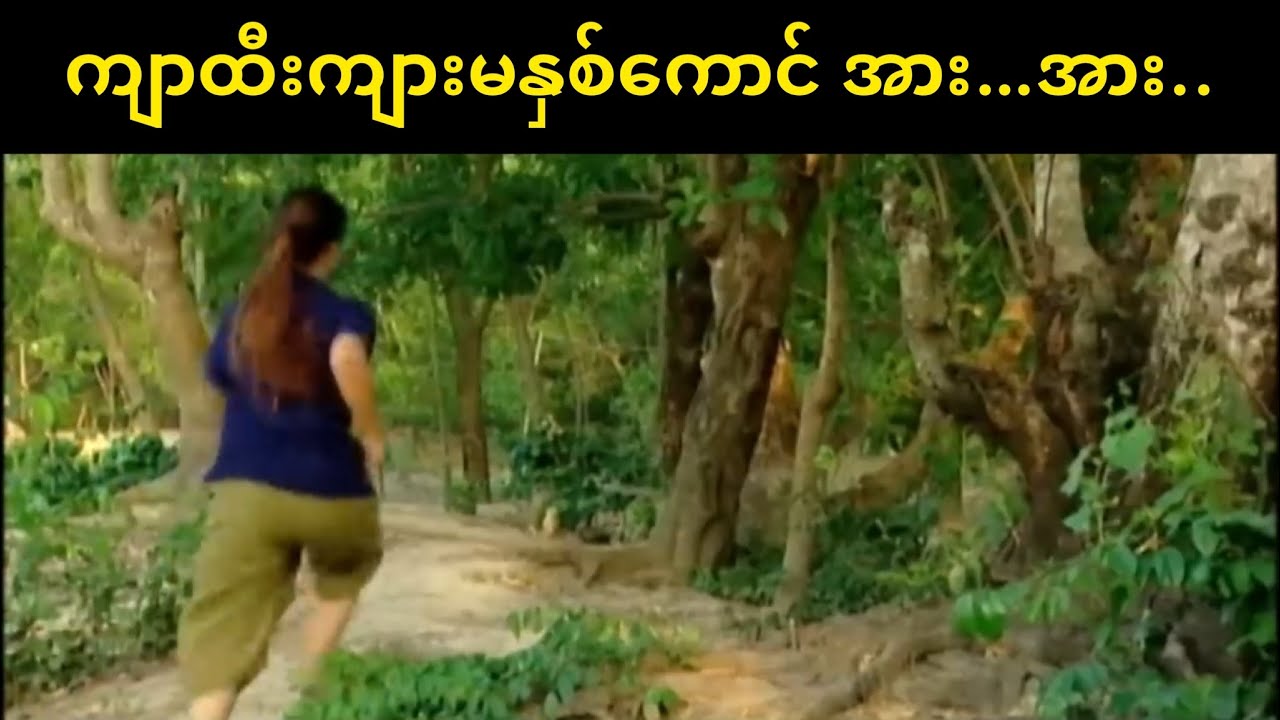 ကျာထီးကျားမနှစ်ကောင် အား…အား Youtube