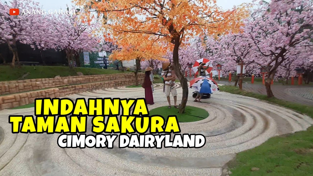 INDAHNYA TAMAN SAKURA || CIMORY DAIRYLAND || BAWEN SEMARANG - YouTube