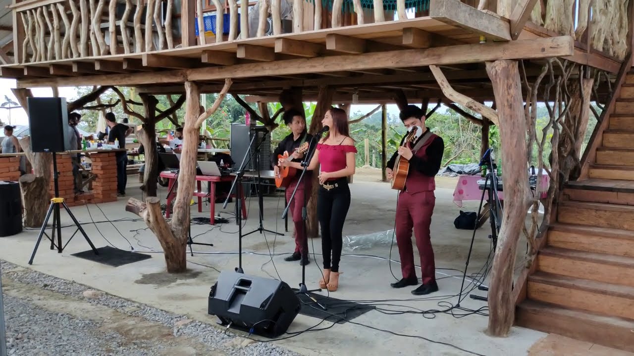 Las chamizas - show en vivo - SANJUANITO - HERMANOS CHAMBA - YouTube