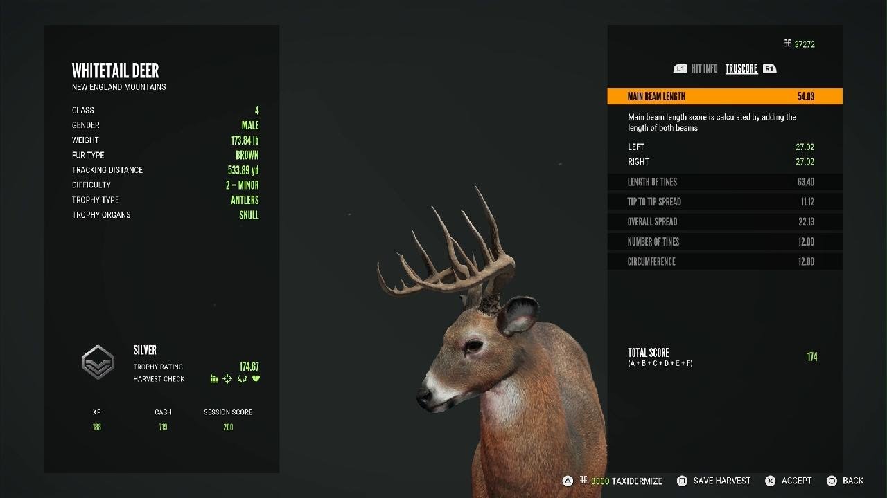 new Hampshire white tail deer hunt with 303 bullets - YouTube