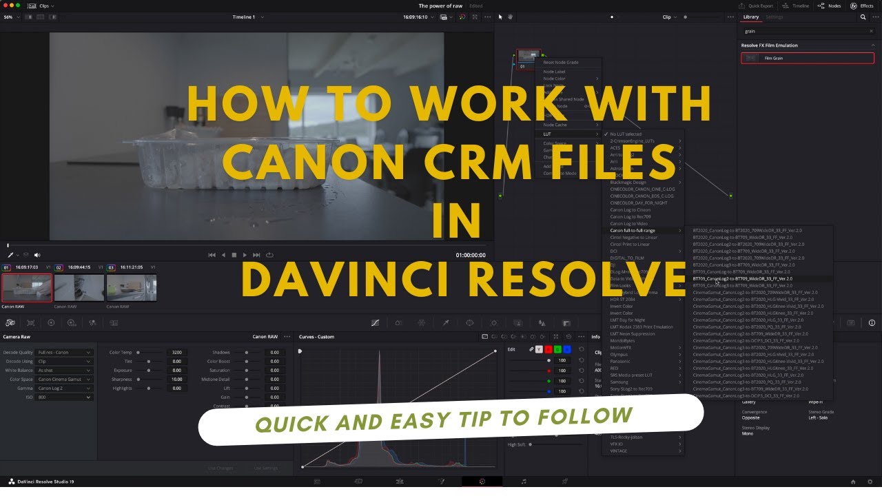 How to work with Canon Raw Light media in Davinci Resolve- The power of ...