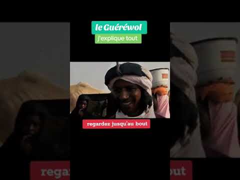 festival guerewol les peuls Mbororo su Niger