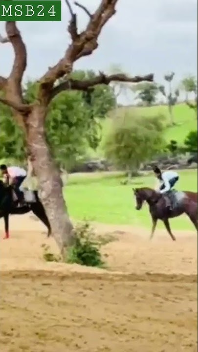 Horse lover|Horse riding|Horse Racing|Horse riding girls|Horse short ...