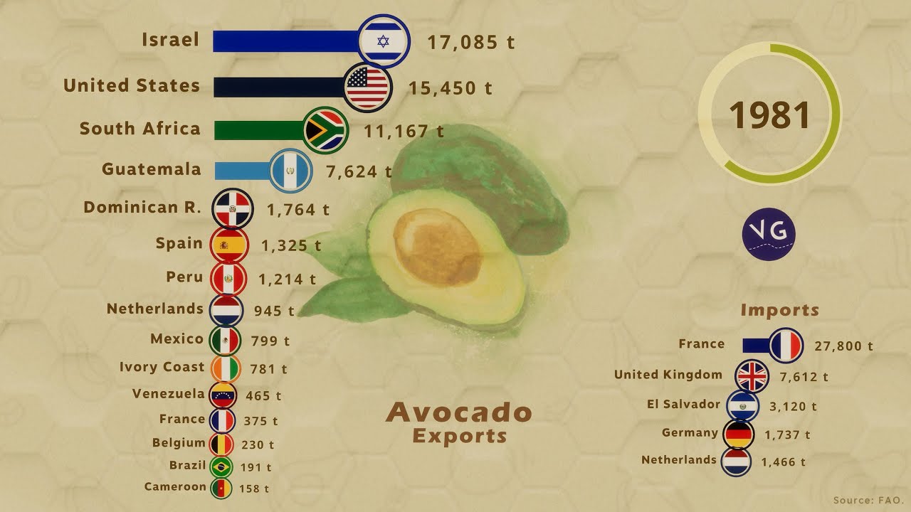 The Countries that Export the Most Avocado in the World - YouTube