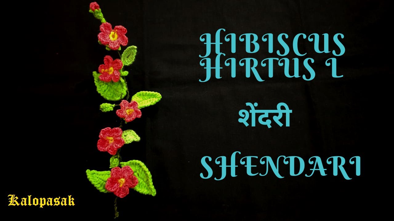 Hibiscus Hirtus L. , Branch of Shendari Flowers with Buds, Leaves (with ...