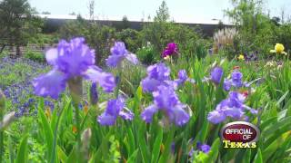 Clark Gardens Botanical Park - Best Public Garden - Texas 2014