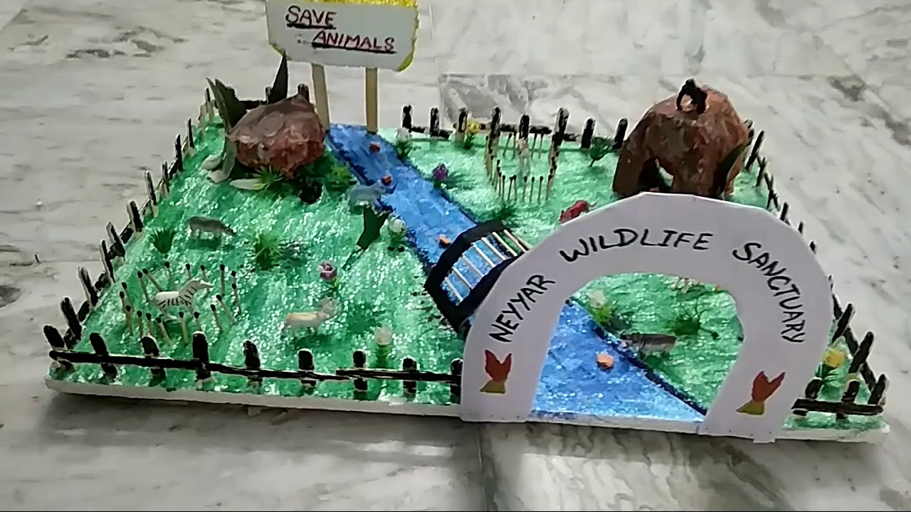 Wildlife sanctuary school project - YouTube