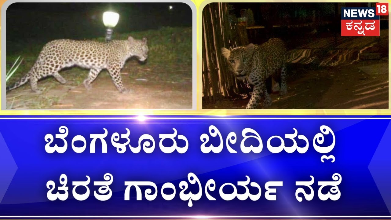 Leopard Caught In Bangalore | ಆತಂಕದಲ್ಲಿದ್ದಾರೆ ಅಪಾರ್ಟ್‌ಮೆಂಟ್‌‌ ನಿವಾಸಿಗಳು ...