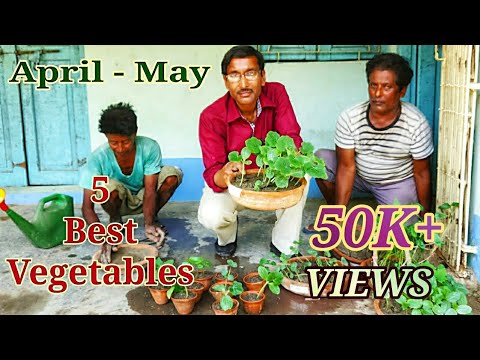 5 Best Vegetables to Grow in April and May with full Tutorial - YouTube