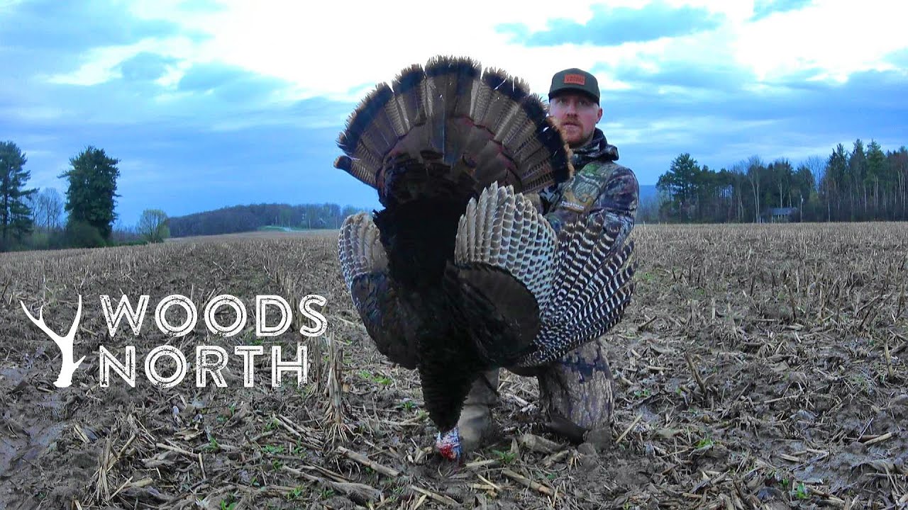 RIGHT OFF THE ROOST! Early Season Vermont Turkey Hunting Success ...