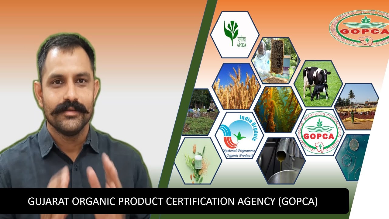 GOPCA INFORMATION - ઓર્ગેનિક સર્ટીફીકેશન ની સંંપુર્ણ માહિતિ - YouTube
