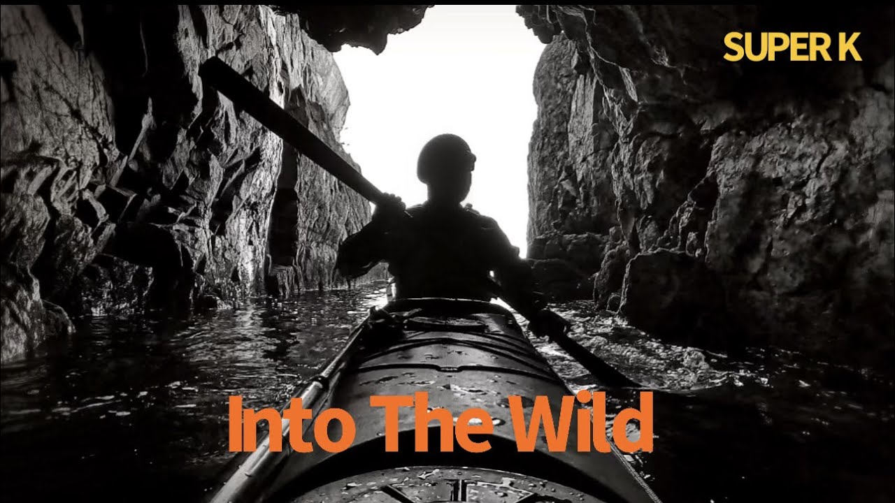 Into the Wild - 4K Video - YouTube