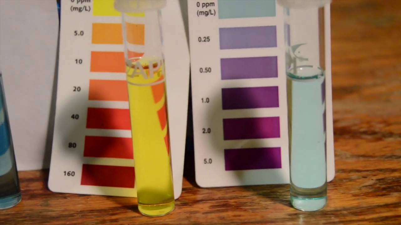 Water Test | liquid vs paper strips | Freshwater tank - YouTube