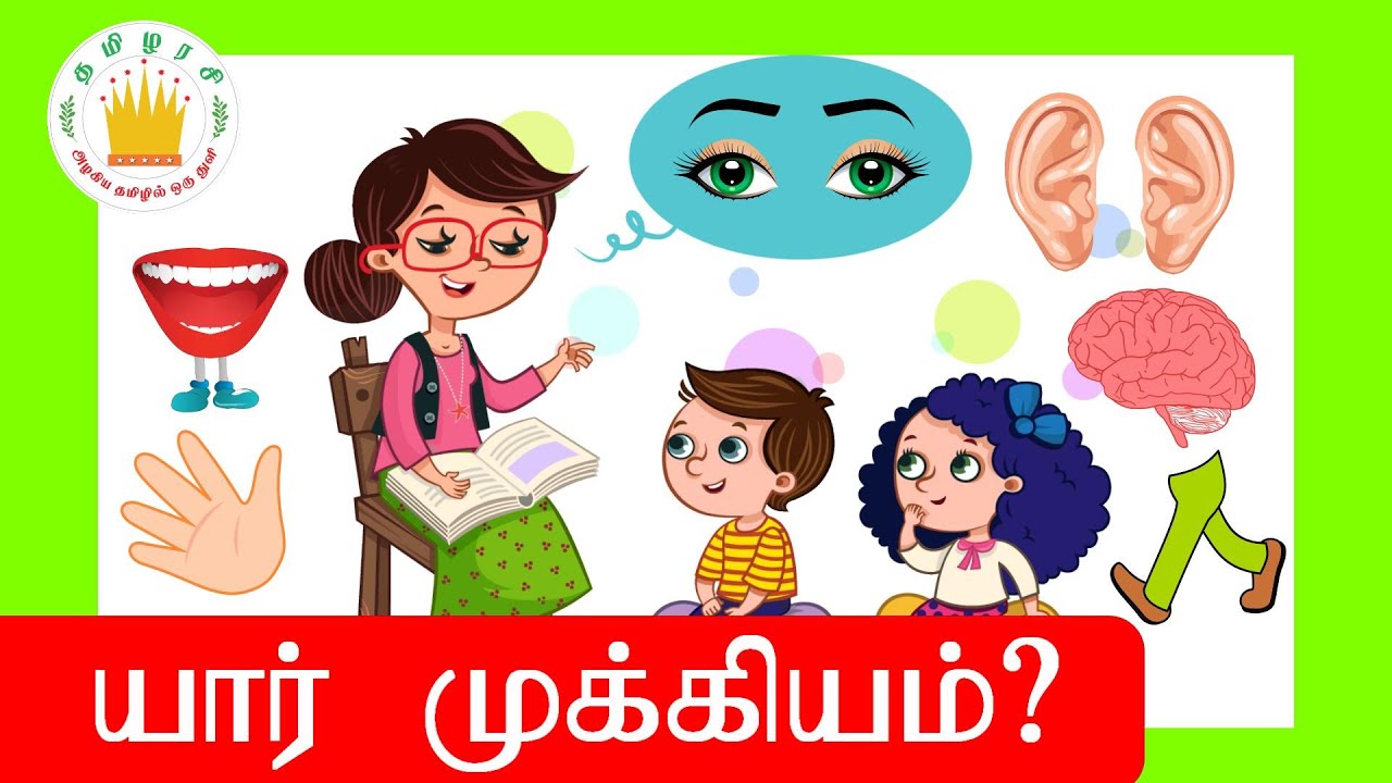 யார் முக்கியம்?-Body Parts Story for kids | Tamilarasi - YouTube