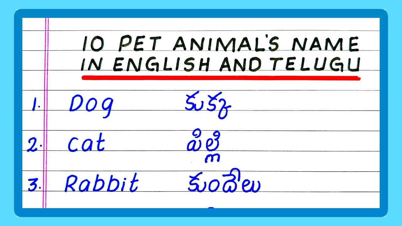 Names of Pet Animals in Telugu | Pet Animals Name in English and Telugu ...