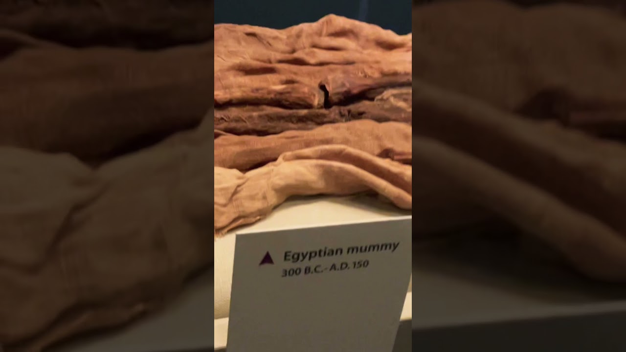 Preserved Dead Body | Smithsonian Museum - YouTube