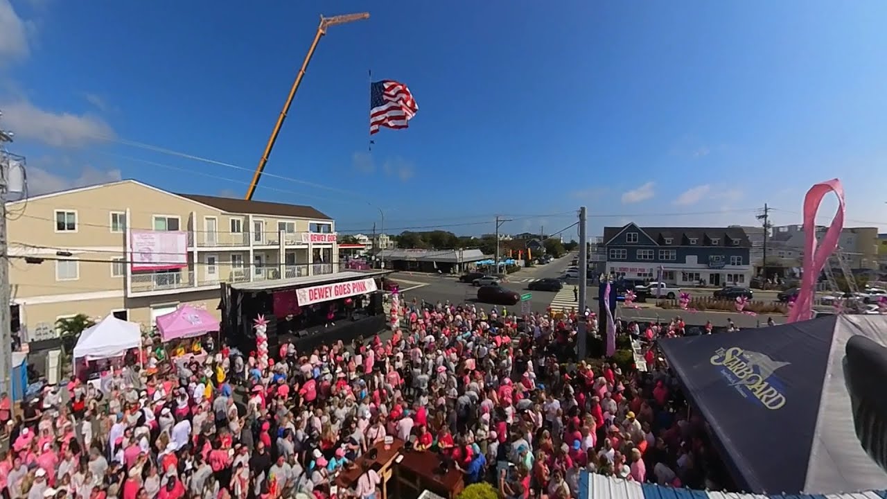 **13th Annual Dewey Goes Pink Fundraiser | Supporting the Delaware ...