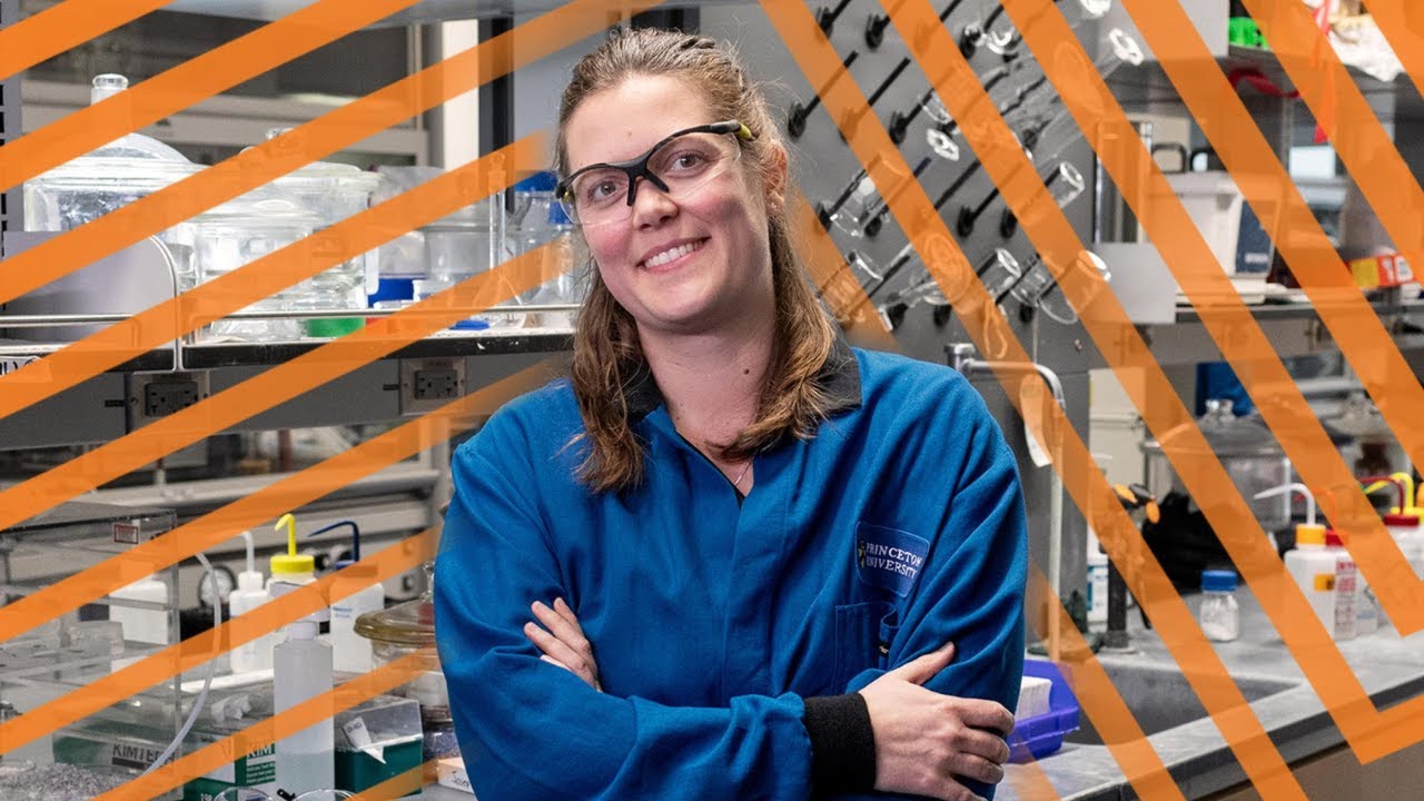 Princeton University professor Leslie Schoop uses the logic of ...
