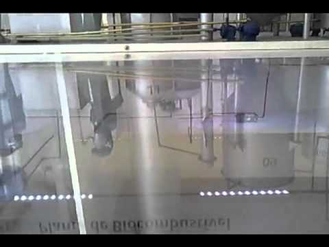Rovsa - YouTube