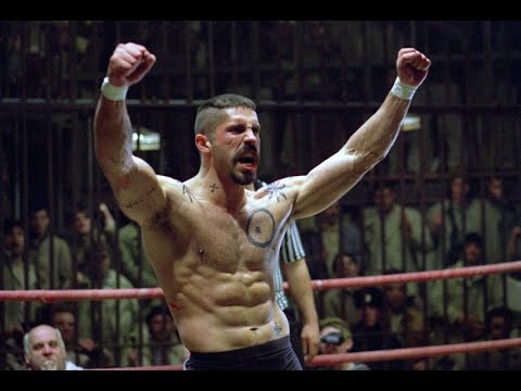 Hollywood Action Status😍 best boyka fight 😎 Best WhatsApp status video of English fight Angry Mood