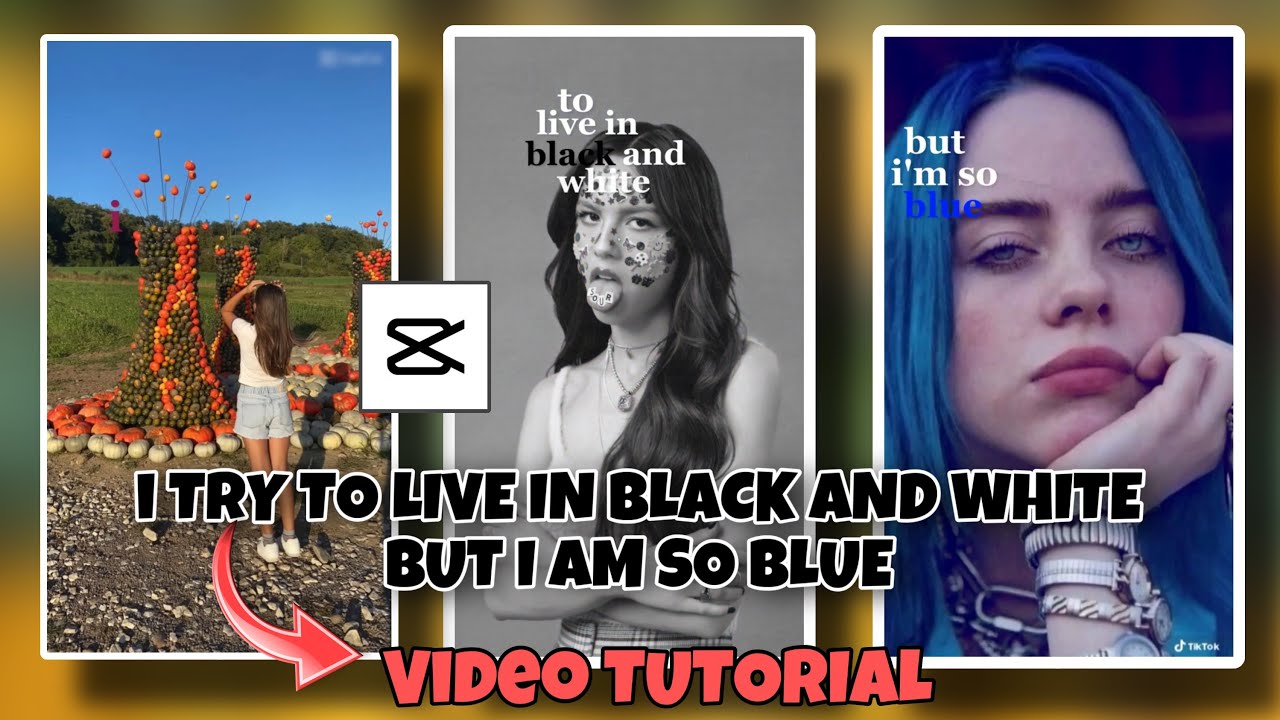 Try To Live In Black And White But I m So Blue Capcut I Try To Live Try To Live In Black And White But I m So Blue Capcut I Try To Live