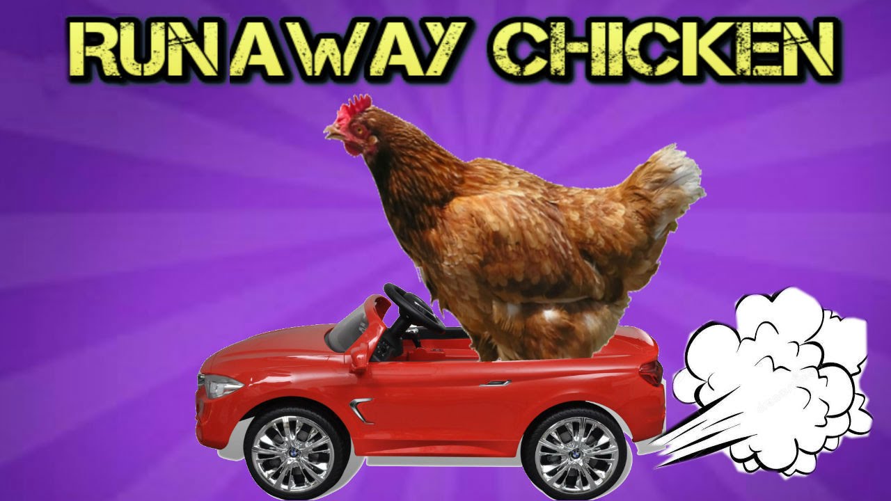 Runaway Chicken! - YouTube