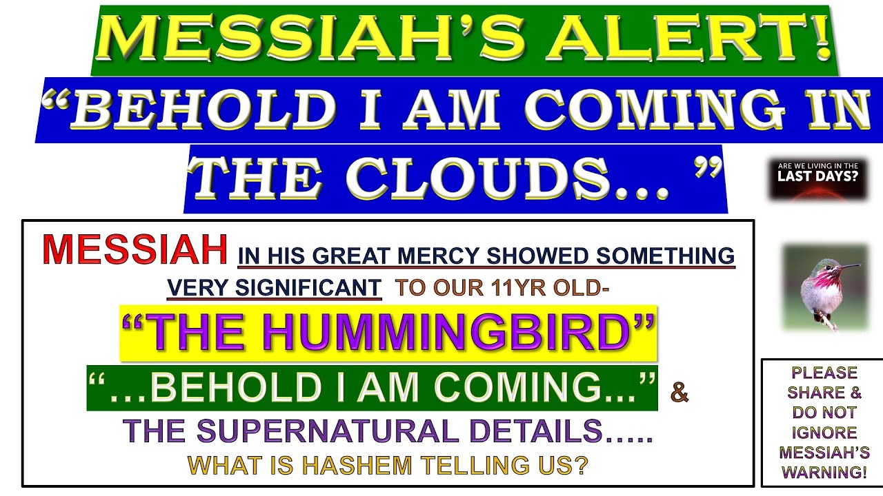 YESHUA HAMASHIACH’S ALERT TO OUR 11YR OLD- “THE HUMMINGBIRD”; “BEHOLD I ...