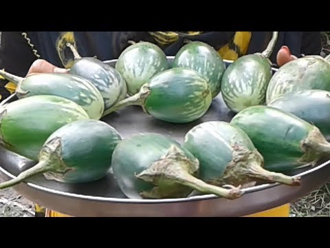 village cooking and recipe | begun bahar ranna by street village food ...