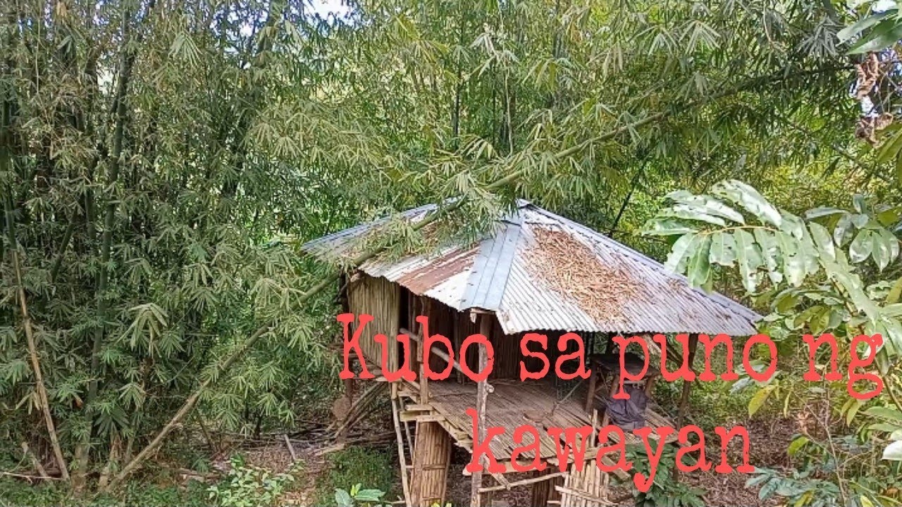 Kubo sa puno ng kawayan - YouTube