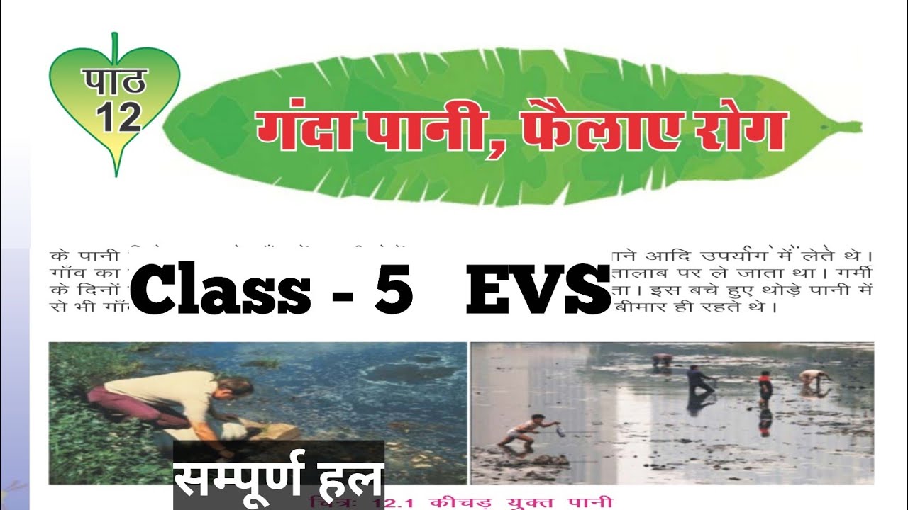 CLASS 5 EVS CHAPTER 12 || गन्दा पानी फैलाए रोग || CLASS 5 EVS || JANGIR ...