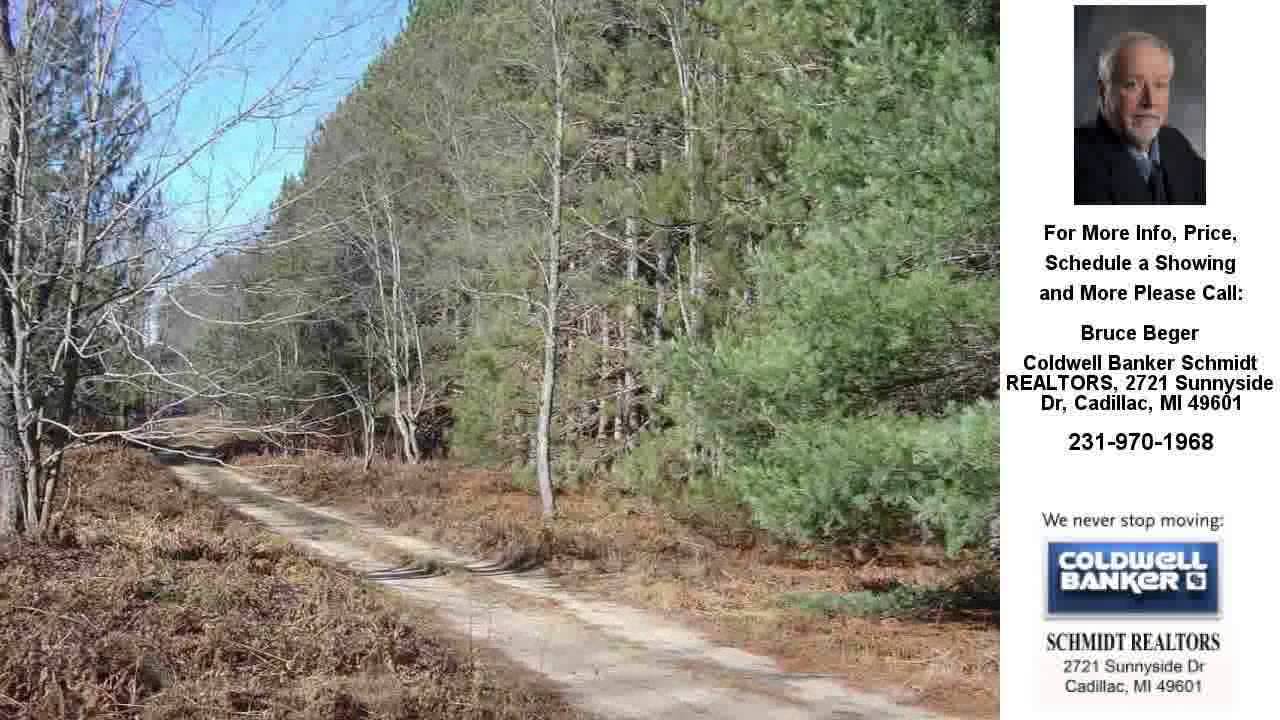 BLOCK 11 Cinder, Benzie, MI Presented by Bruce Beger. - YouTube