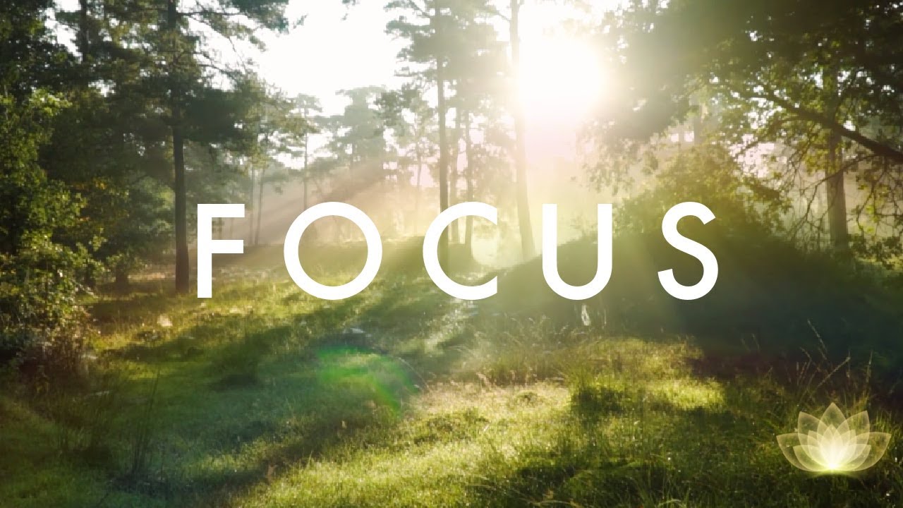Focus | Find Flow and Boost Productivity, Work and Study Background ...