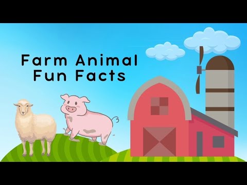 let's learn Farm animals fun facts #study #kidsbrainboosterfarmanimals ...