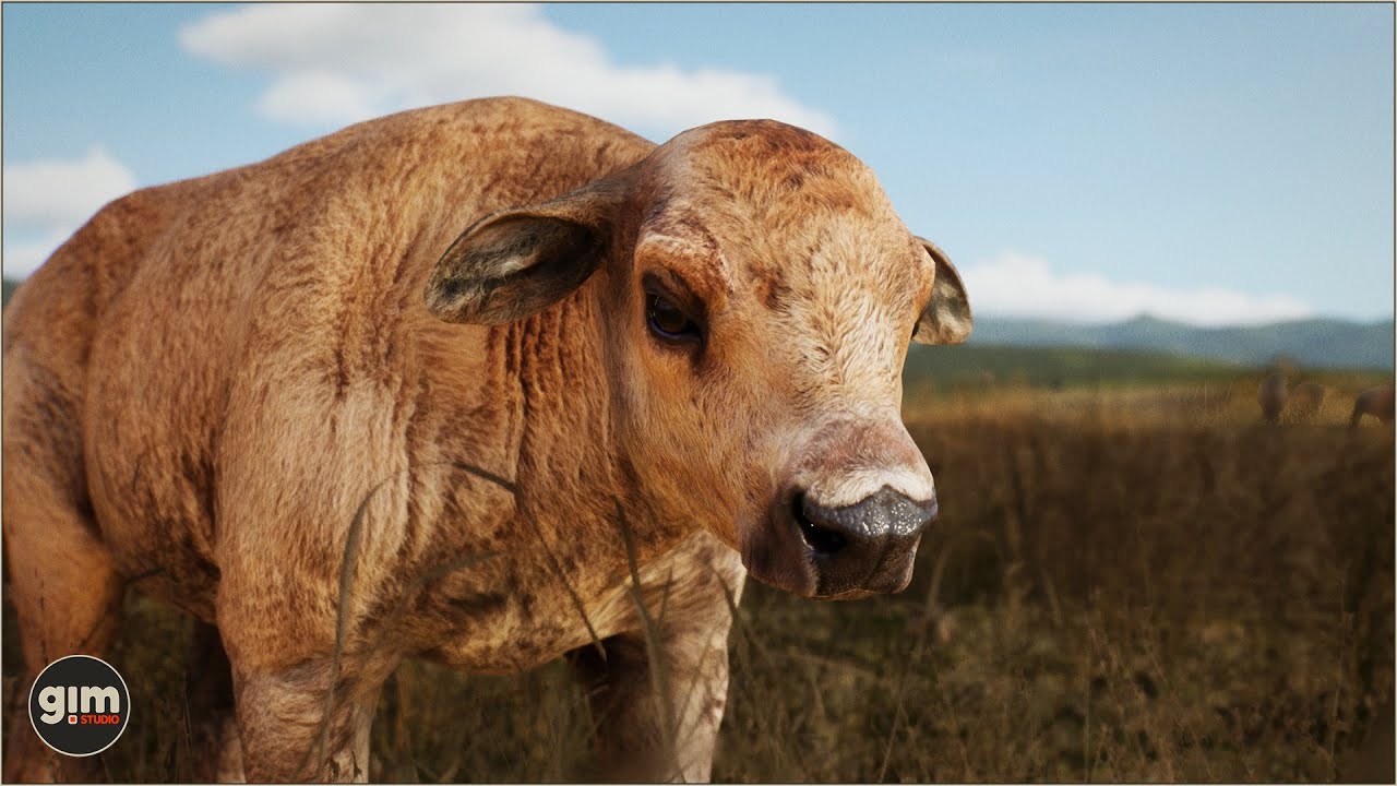 American Bison animation preview - YouTube