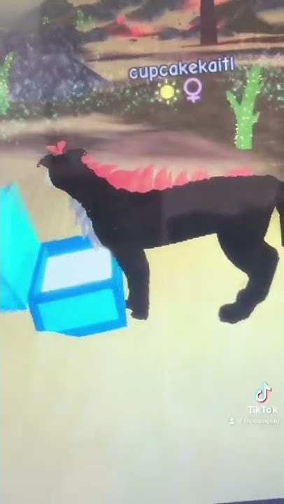 Felandia Rare Chest Youtube