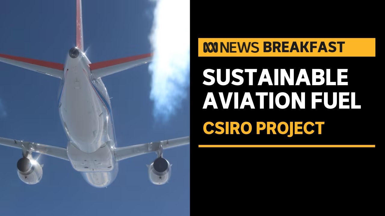 Sustainable aviation fuel could decarbonise the airline industry | ABC ...