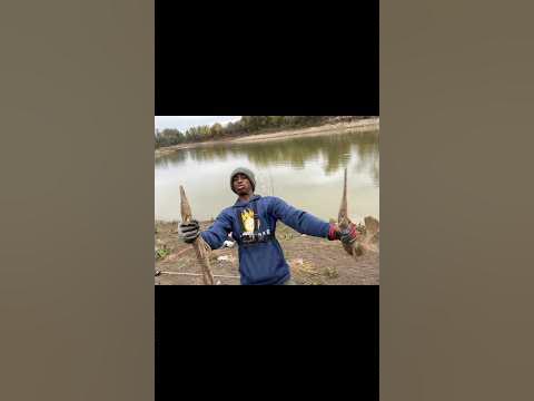 Alligator Gar tries to BITE my HAND OFF‼️😱#scary#alligatorgar#shorts ...