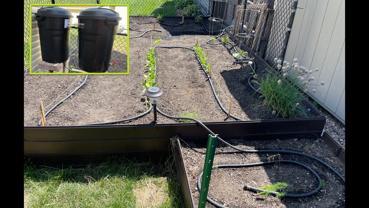 Setting Up an Automatic Rain Barrel Watering System - YouTube
