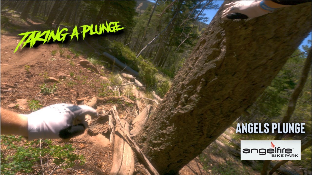 Tree Attack on Angels plunge - YouTube