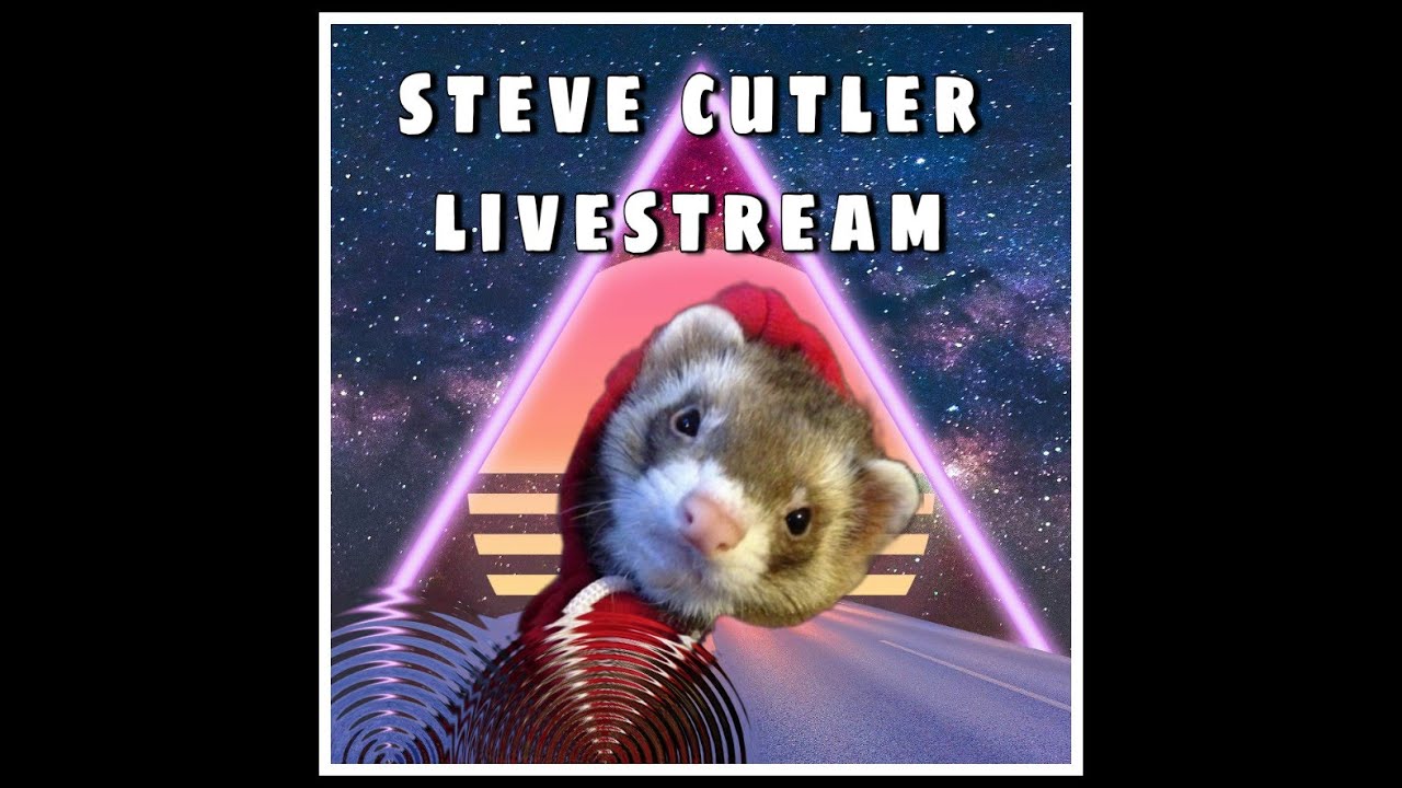 steve cutler live #FreePalestine - YouTube