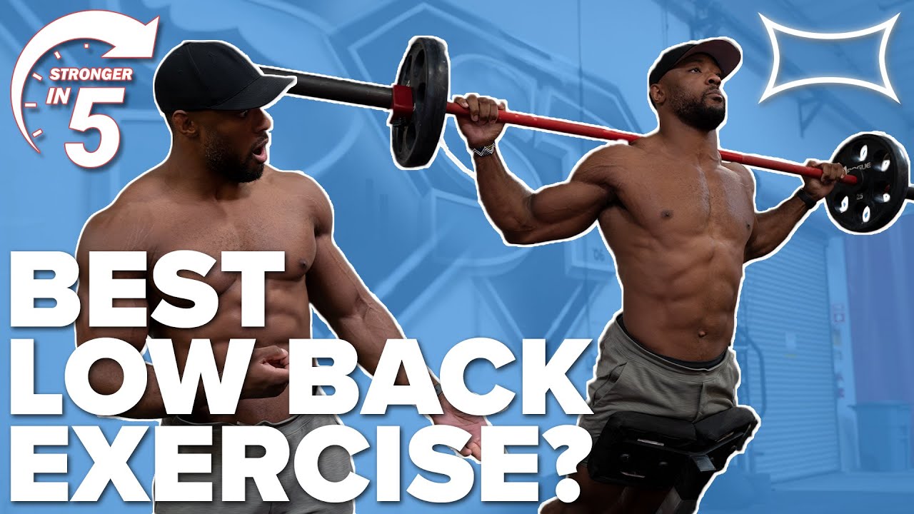 The Most Effective Way to Train Your LOW BACK! | Stronger in 5 Ft ...
