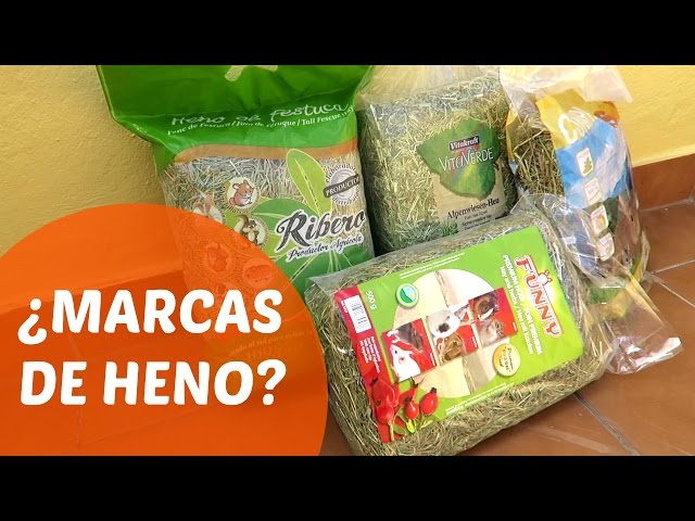 Lista De Los Mejores Henos El Mejor Heno Para Conejos Tipos Y Marcas