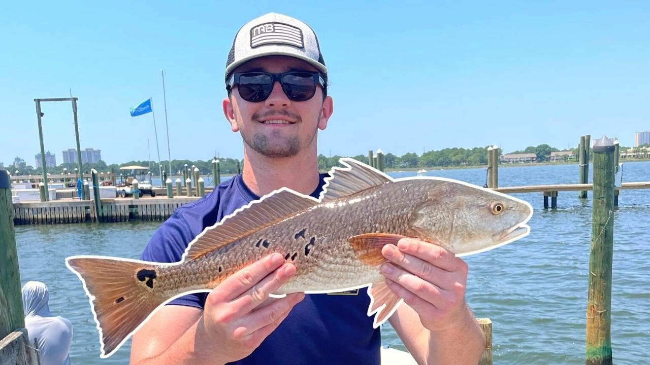Catching My First REDFISH | Inshore Pier Fishing - YouTube
