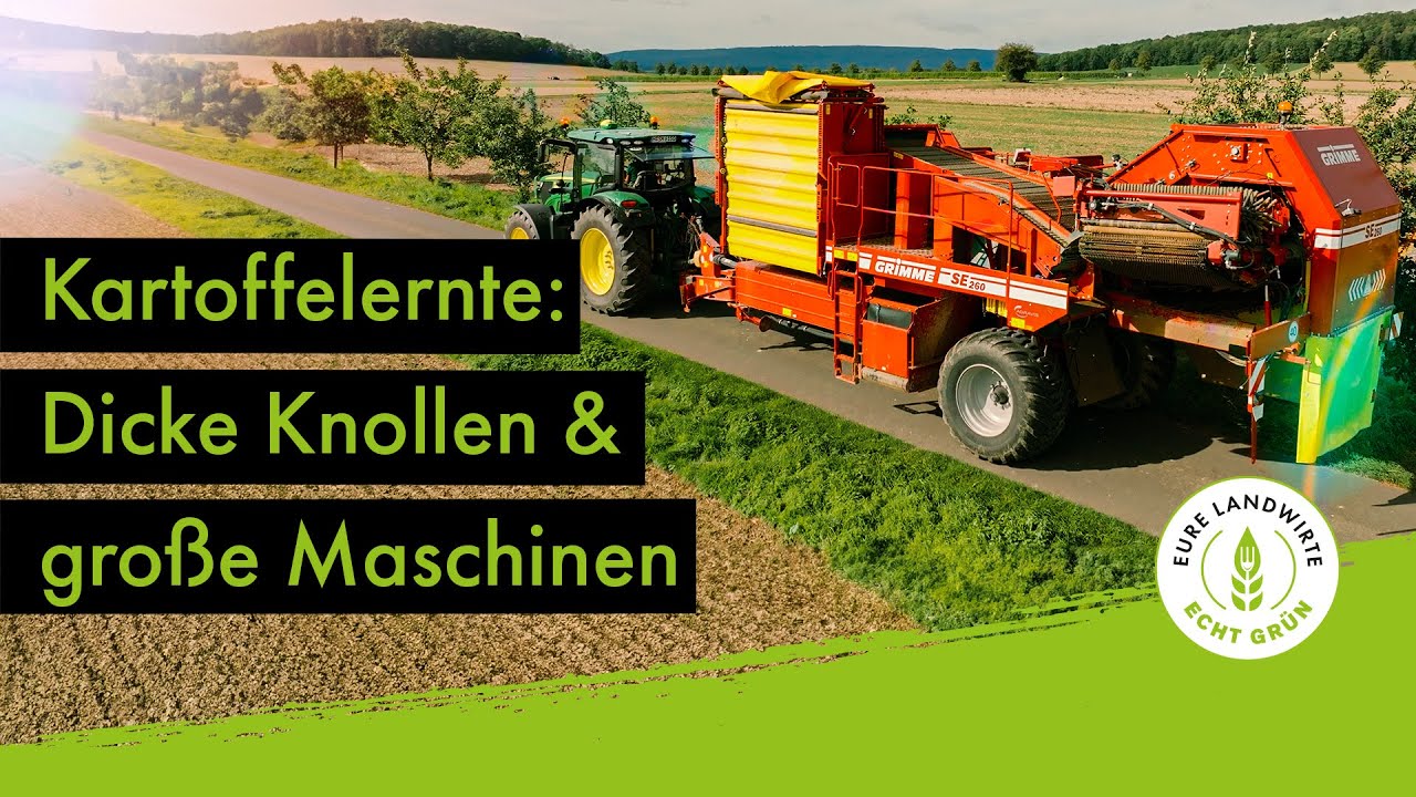 Kartoffelernte: Kleine Knollen & große Maschinen - YouTube