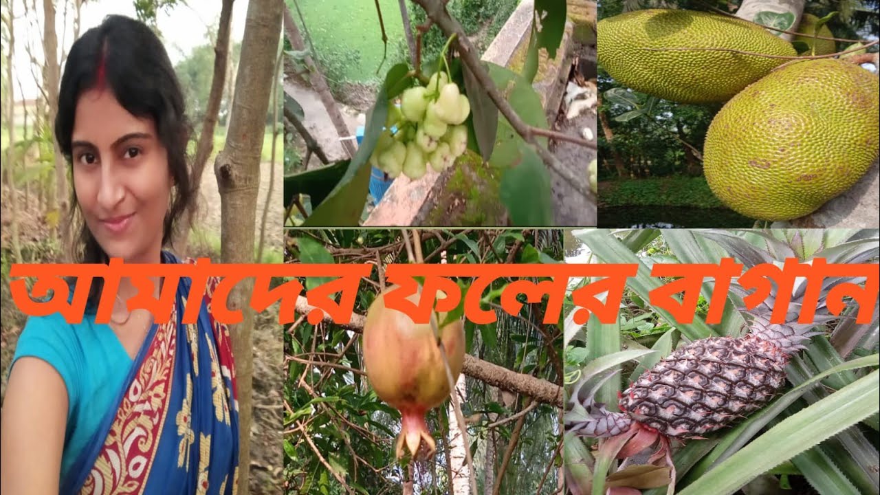 Amader foler bagan/nonod der sate onek moja korlam/ - YouTube