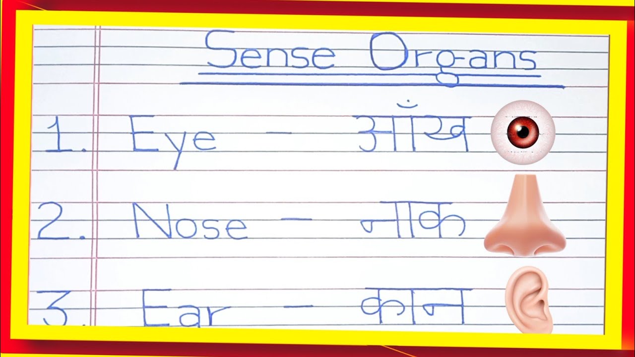 Sense Organ | Five Sense Organs Name | Sense Organ Name In English | 5 ...