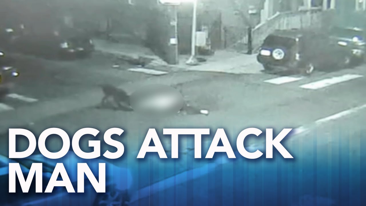 Video shows Philadelphia police open fire as dogs attack man - YouTube