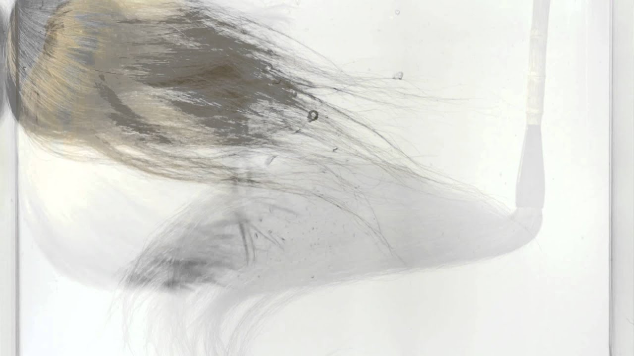 Simon Ma: Visual Art - YouTube